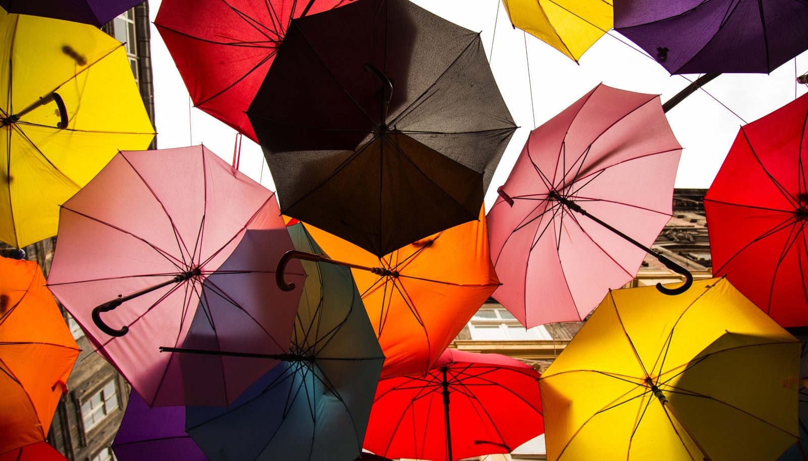 Mau Bikin Payung Lipat, Siap Cetak Inspiration Ahlinya 100% Berkualitas